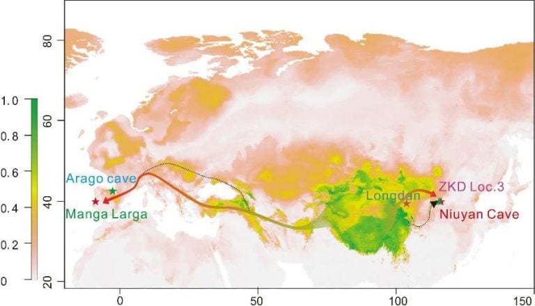 Snow Leopards in Portugal? Fossil Discovery Redefines Their ...