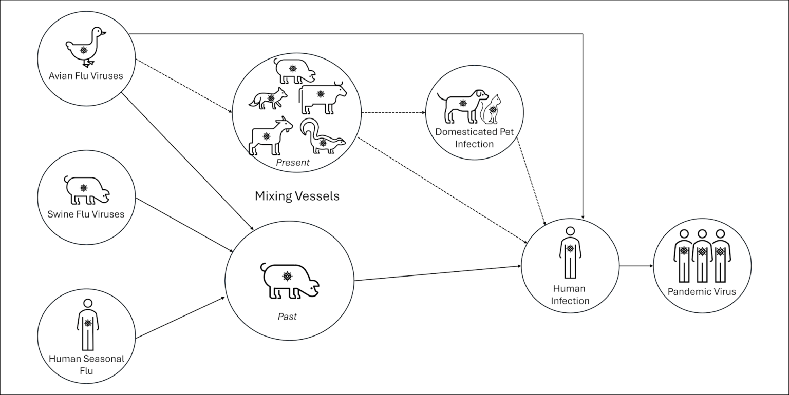 CDC Warns of Cow-to-Human Transmission of H5N1 Bird Flu in Texas