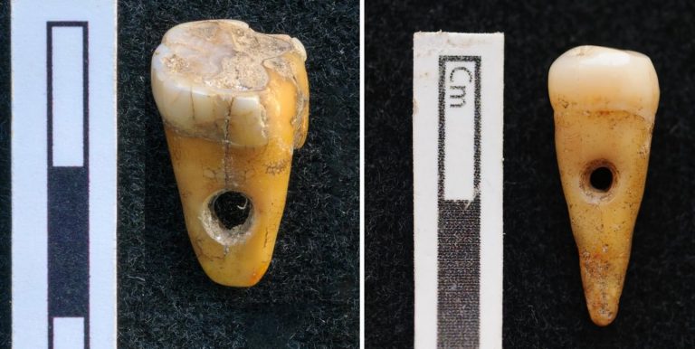 8,500-Year-Old Human Teeth Used As Jewelry Discovered at Prehistoric ...