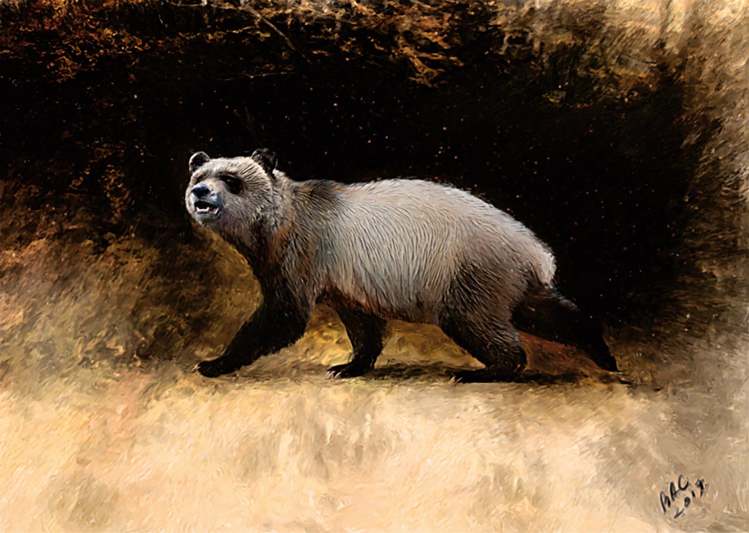 Europe’s Last Panda? New Discovery of Species Closely Related to Giant ...
