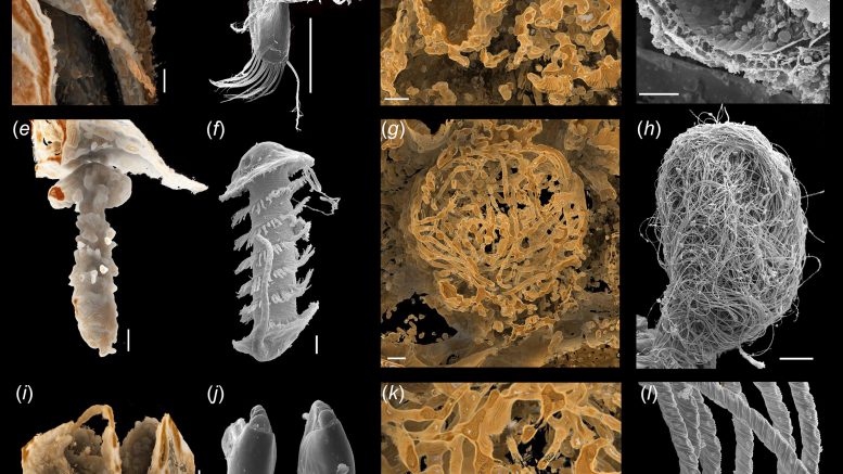 Archaeology News - Page 14 of 25 - SciTechDaily