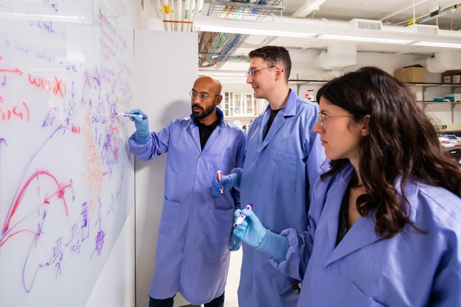 300 Years of Research: Princeton Scientists Solve a Bacterial Mystery