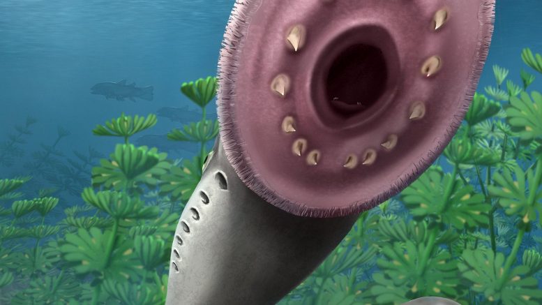 Reconstruction of Tyrannosaur Braincases Shows More Variation Than ...