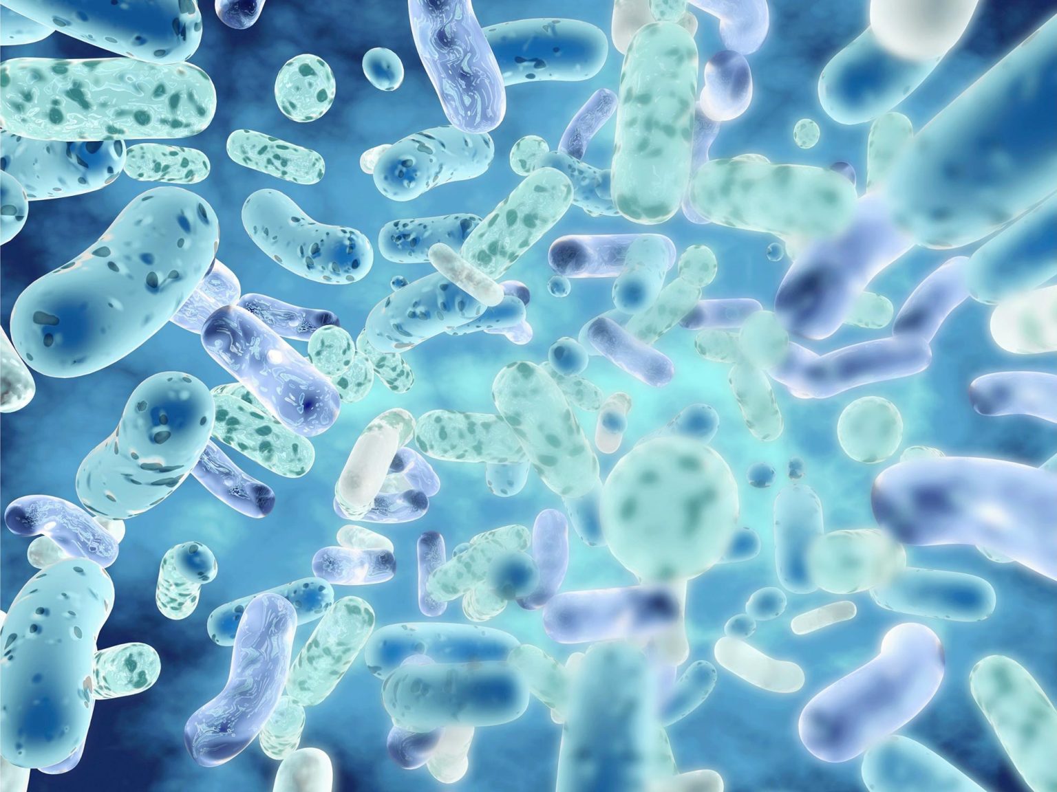 Researchers Harness Probiotic Bacteria To Deliver Parkinson’s Disease ...