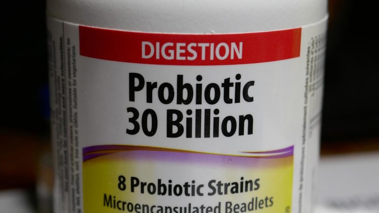 Aging and the Brain: How Probiotics Could Slow Cognitive Decline
