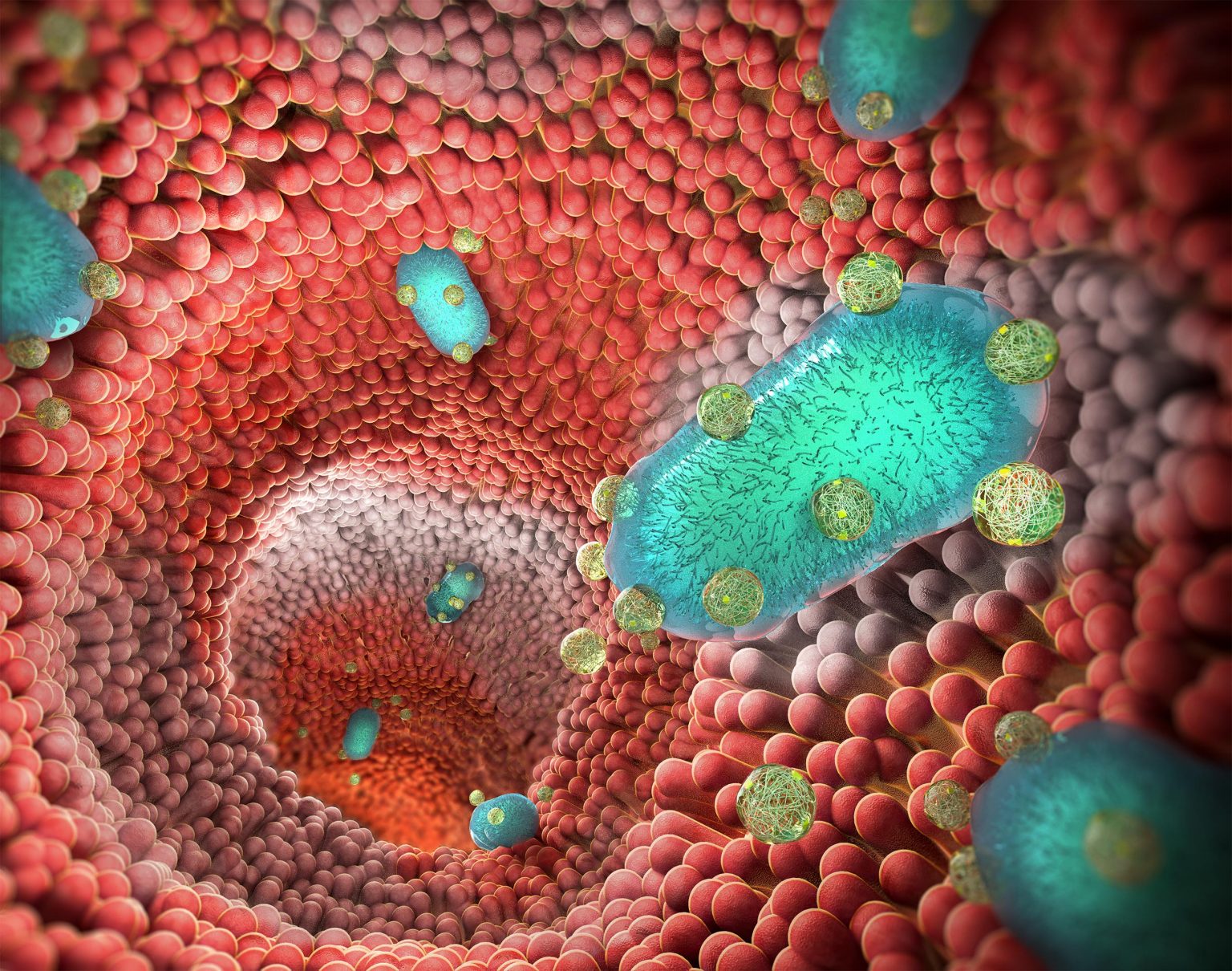 Nanoparticle Probiotic “Backpacks” Show Promise for Treating ...