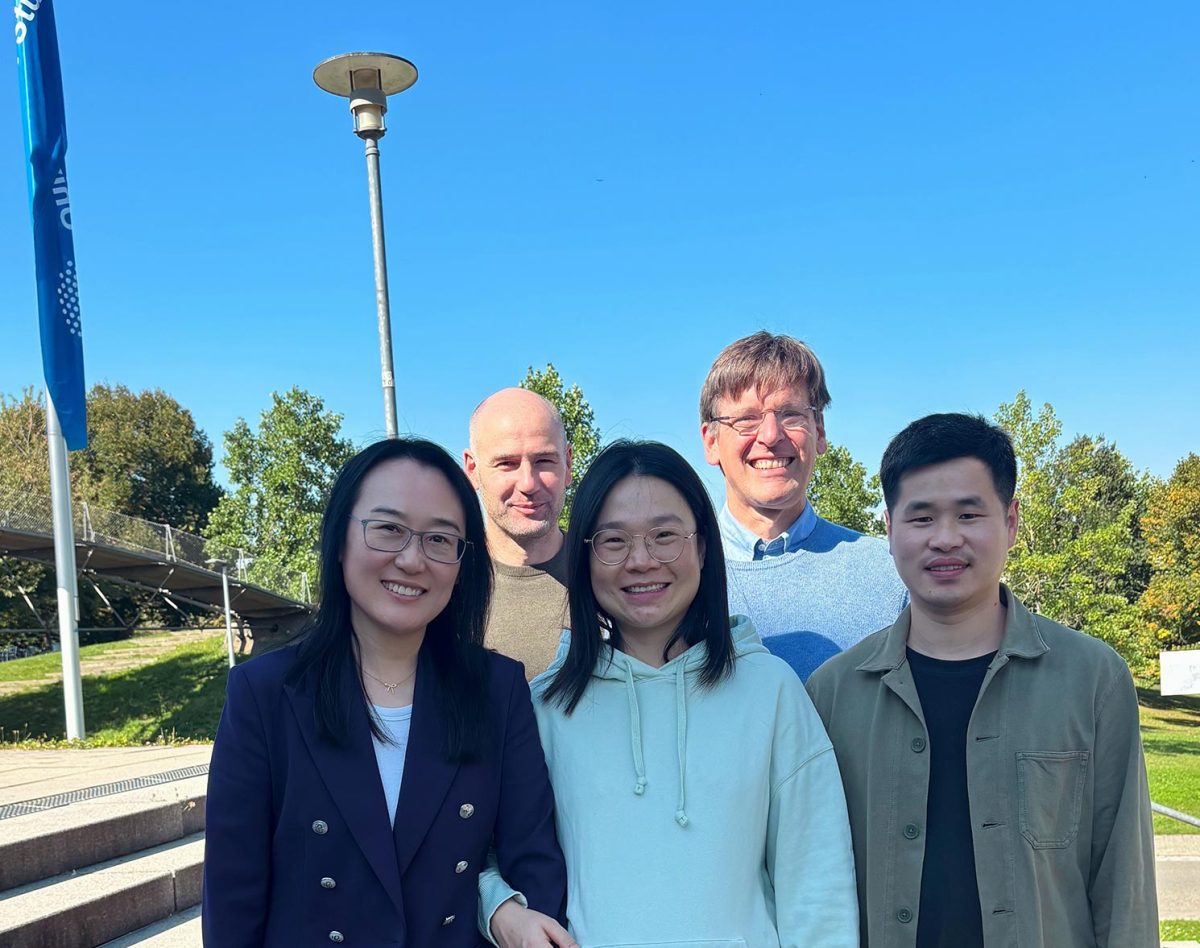 DNA Nanorobots Unlock New Frontiers in Targeted Drug Delivery