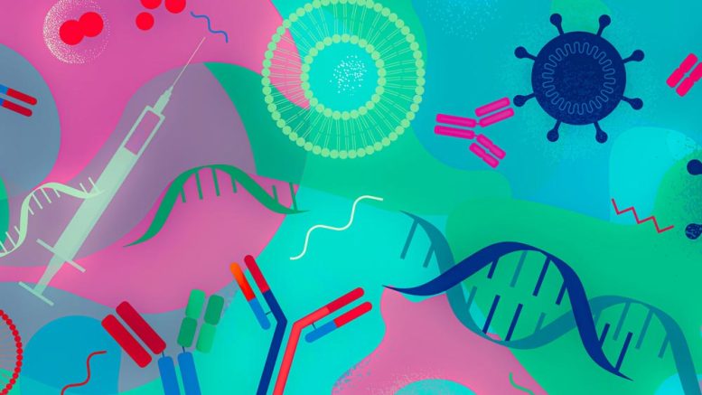 Grow and Eat Your Own Vaccines? Using Plants As mRNA Factories