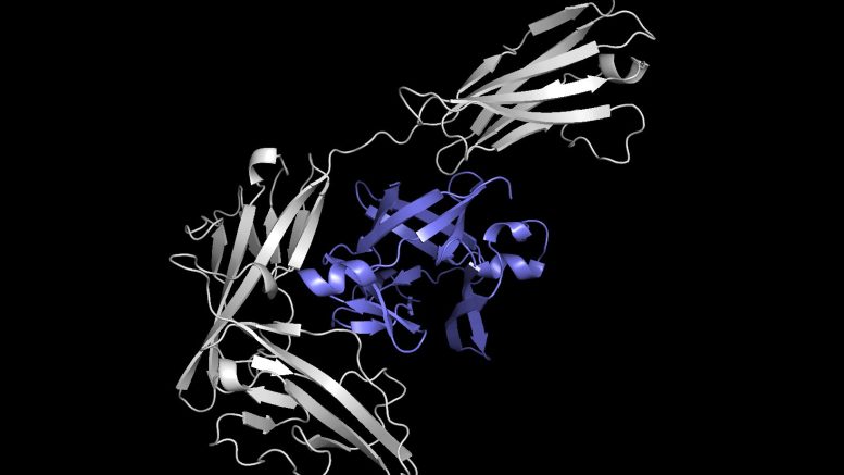 Creating Better Drugs With Deep Learning, 3D Technology and Improved ...