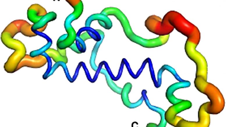 Evolution Helps Deduce the Shape of 18 Families of Transmembrane Proteins
