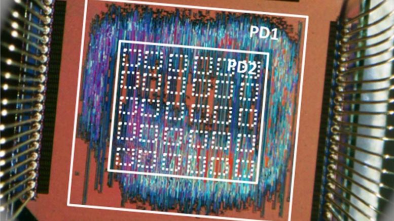 Microchip News - SciTechDaily