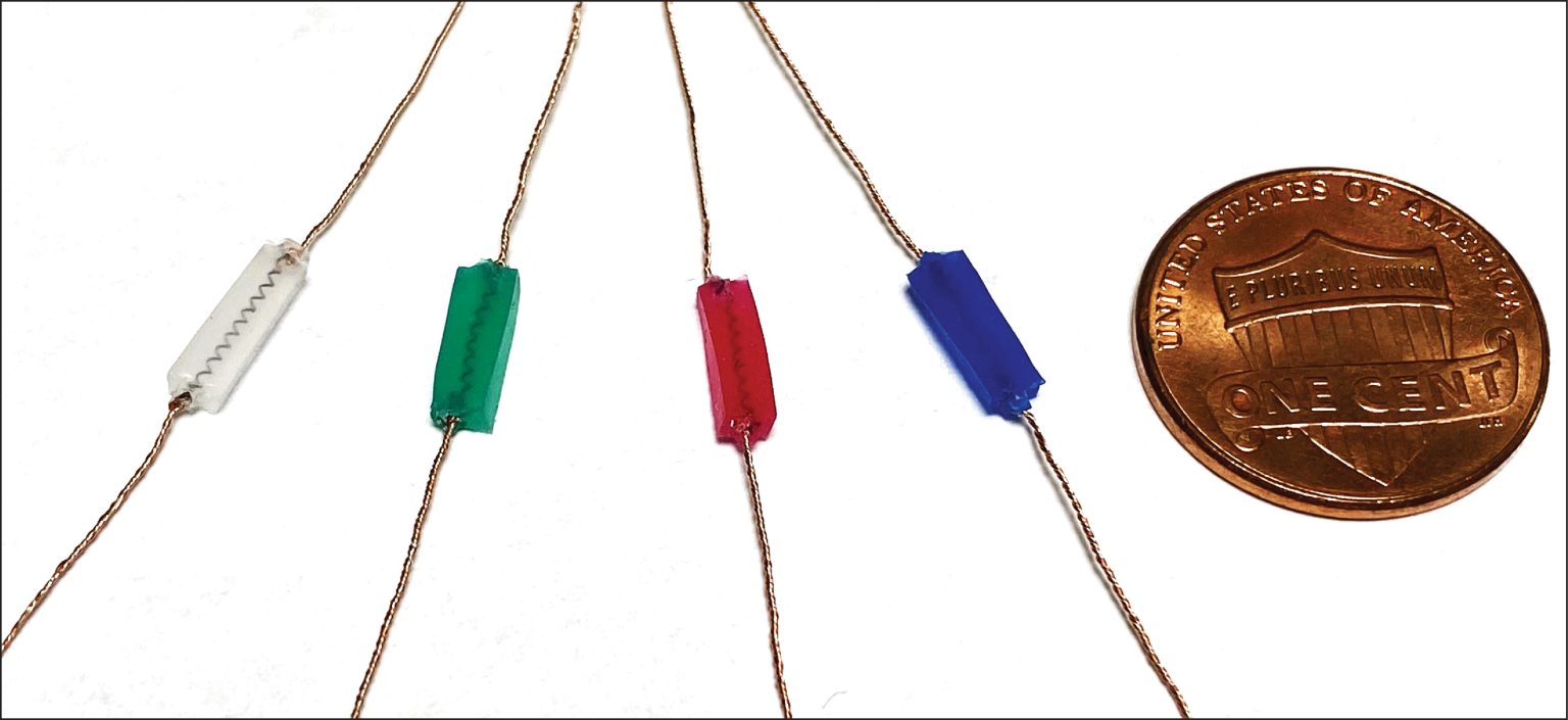 Preventing Muscle Atrophy – Harvard Scientists Have Developed an ...