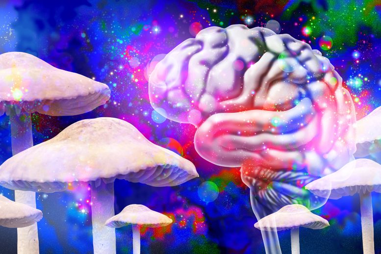 Magic Mushrooms Show Surprising Power to Ease Pain and Depression