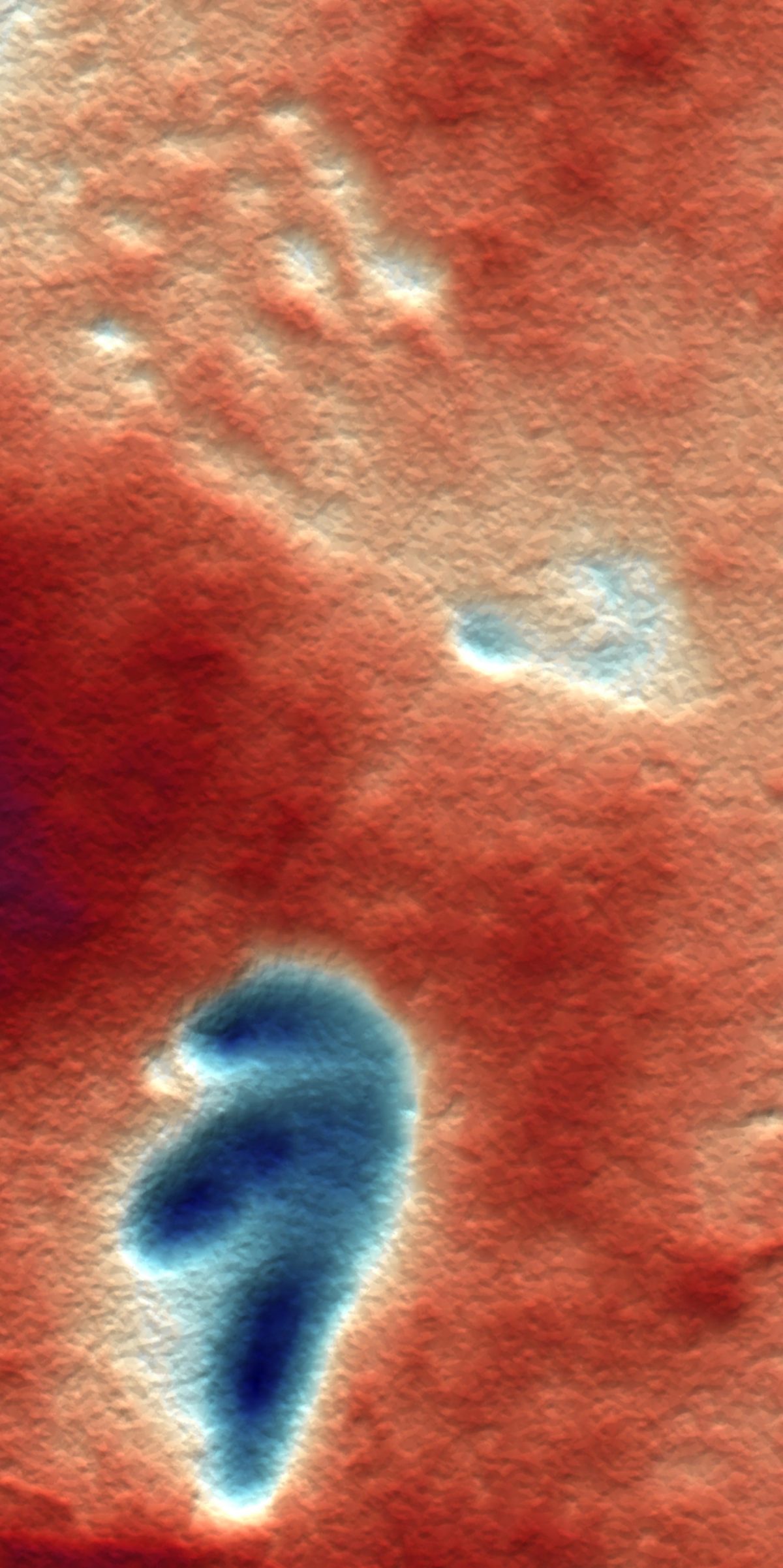 They Walked? 160-Million-Year-Old Footprints Rewrite Pterosaur History