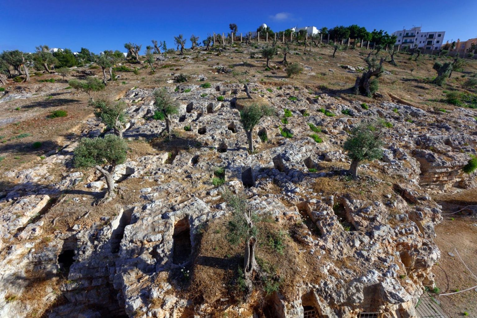 Rewriting History: Study Challenges Long-Held Assumptions About ...