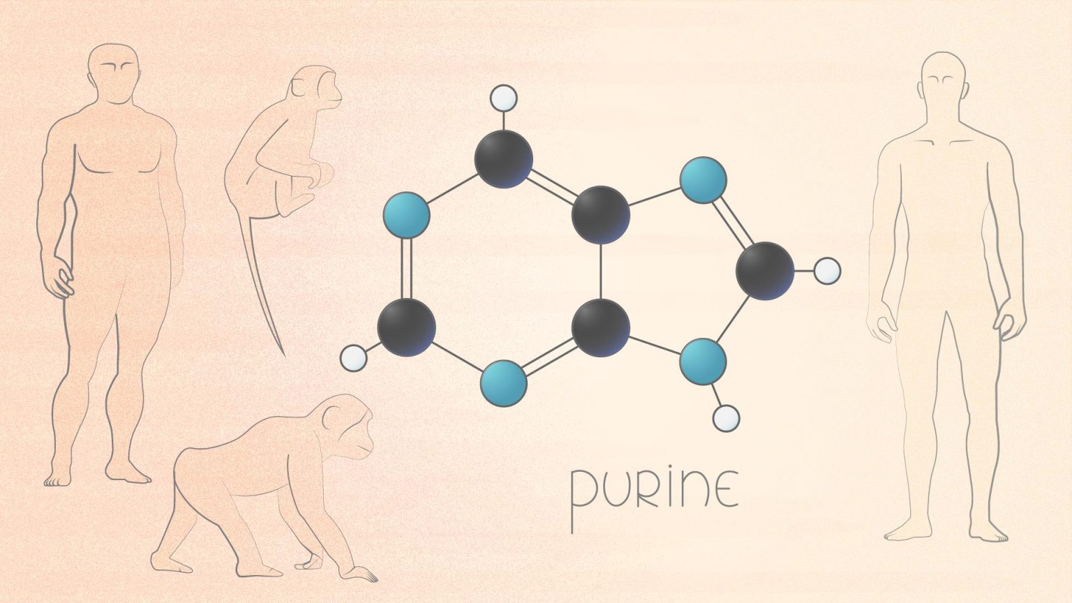 Scientists Discover a New Genetic Mutation That Distinguishes Modern ...