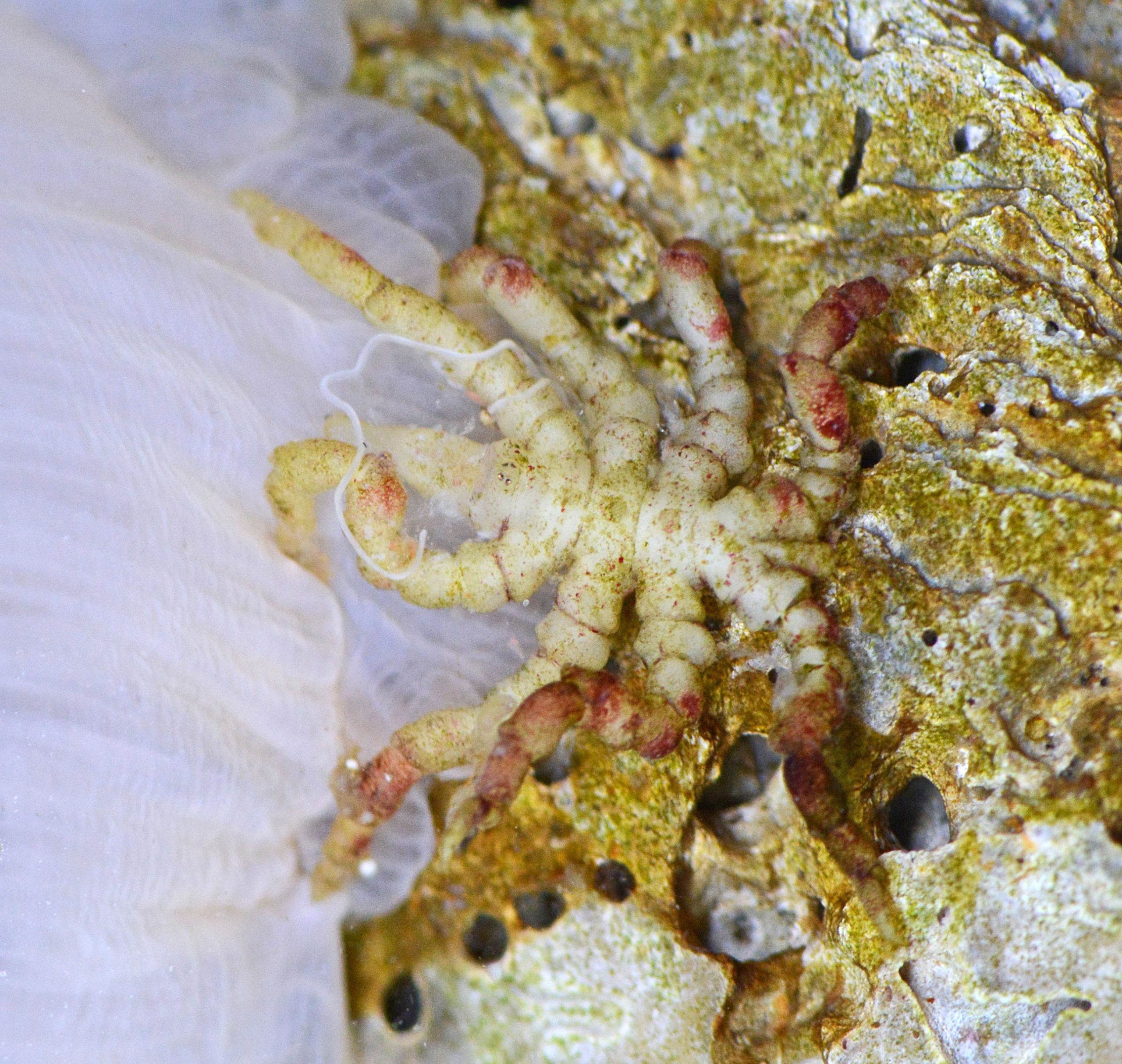 Rehana fathima video sex we had a nice conversation and