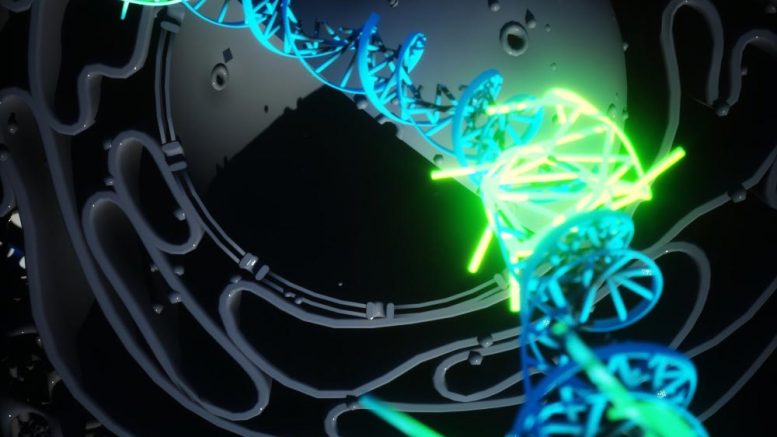 First Electron Microscope Image of DNA Double Helix