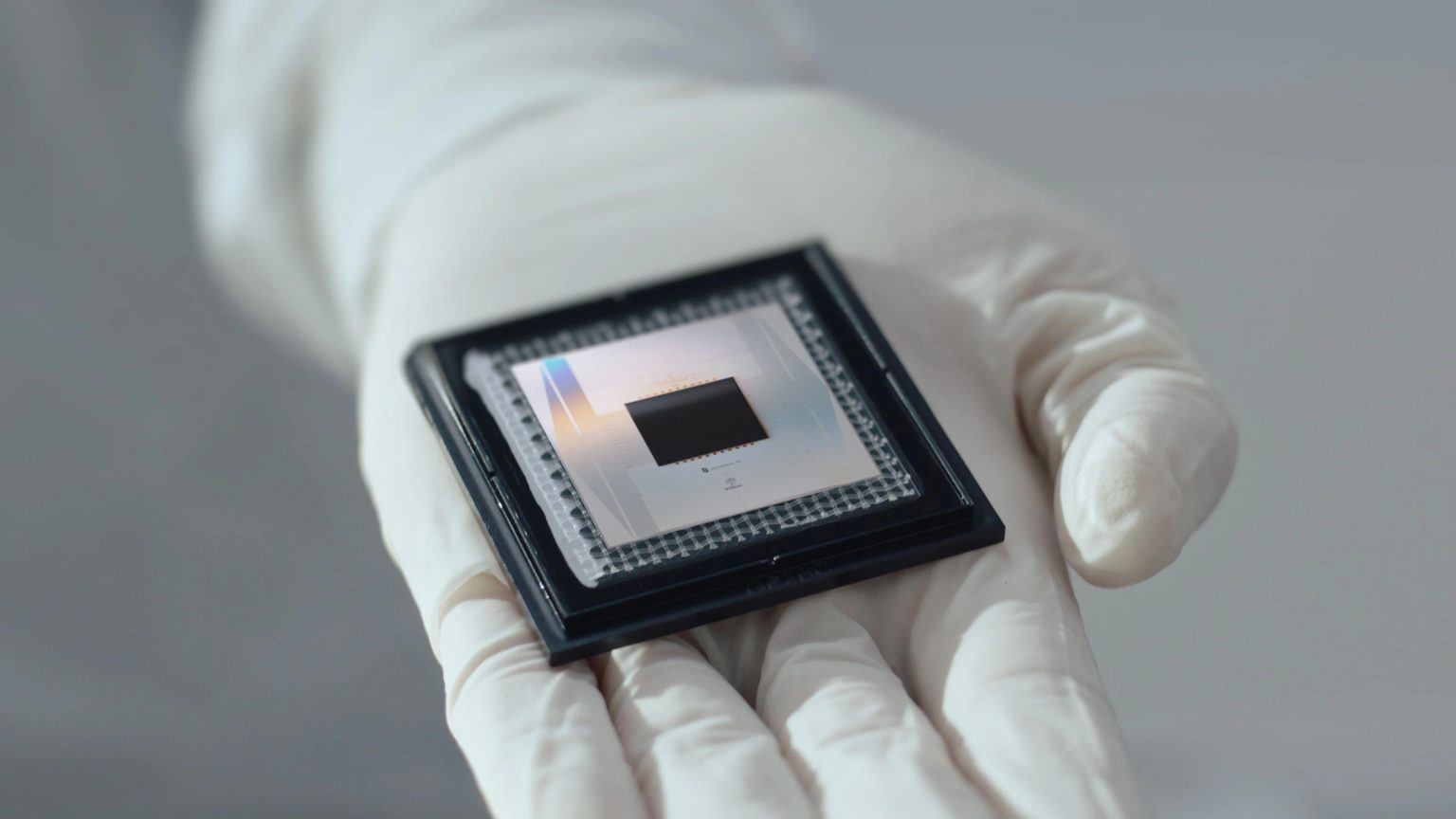 Google’s Quantum Computer Unlocks a Strange New Realm of Matter