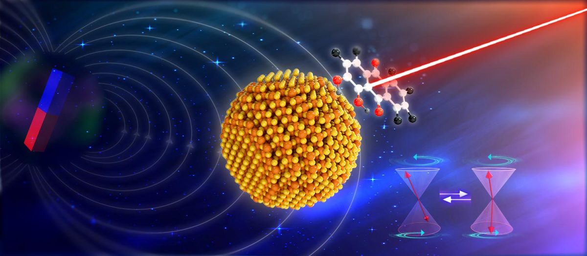 The Surprising Impact of Quantum Dots on Chemistry and Biology