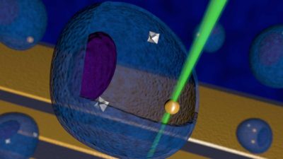 Transformative Technology: To Understand Biology, Scientists Turn to ...