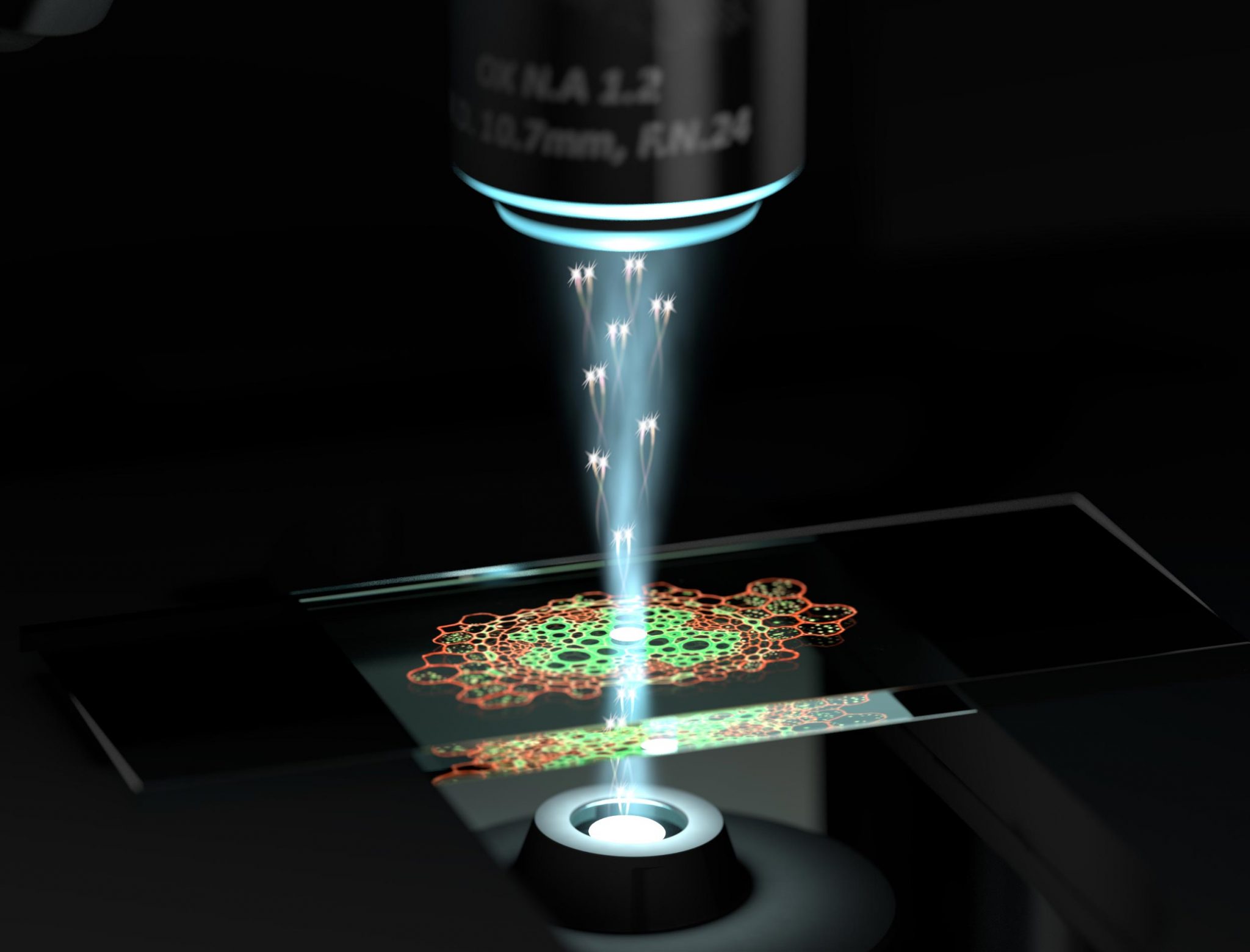 Major Scientific Leap: Quantum Microscope Created That Can See the ...