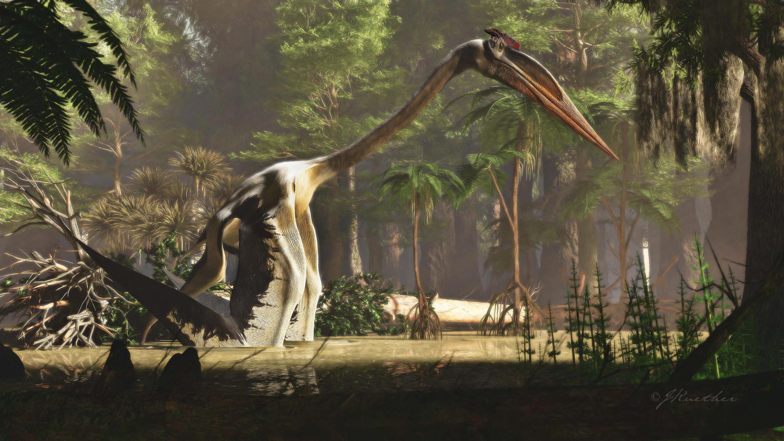 World’s Largest Flying Animal – With a Wingspan Nearing 40 Feet ...