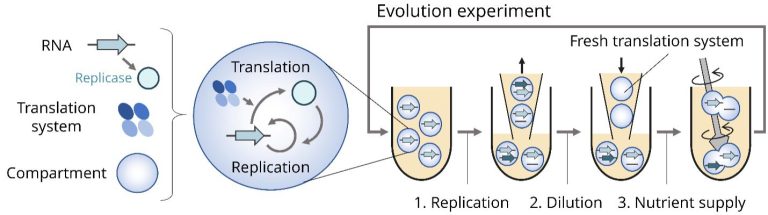 New Insight Into Possible Origins of Life: For the First Time ...