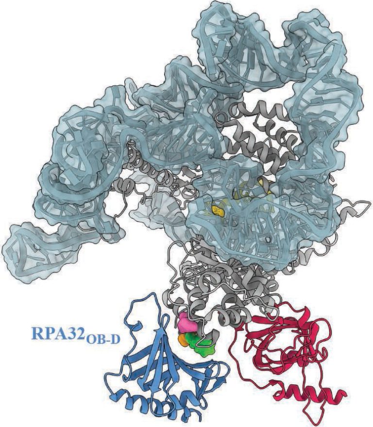 Mystery Solved: Scientists Find Cause for Unexplained, Deadly Diseases ...