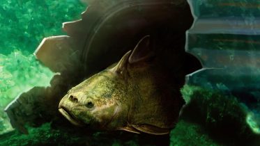 Jawless Vertebrate Conodont Had Sharpest Yet Minuscule Teeth