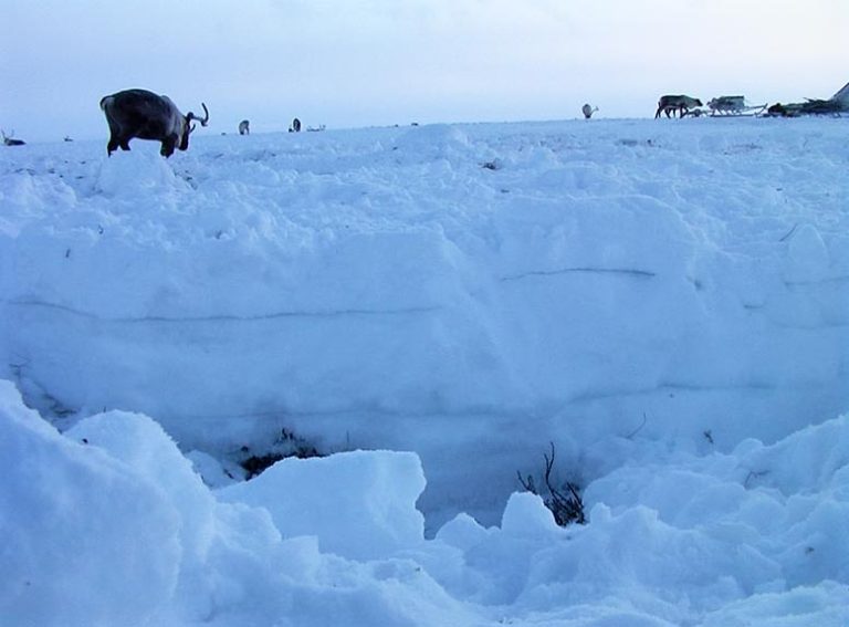 Rainfall in Arctic Will Soon Be More Common Than Snowfall – Decades ...