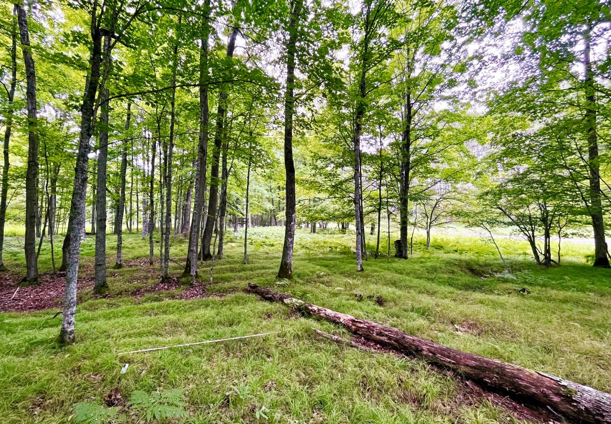 Archaeologists Uncover Massive 1000-Year-Old Native American Farms That Defy the Limits of ...