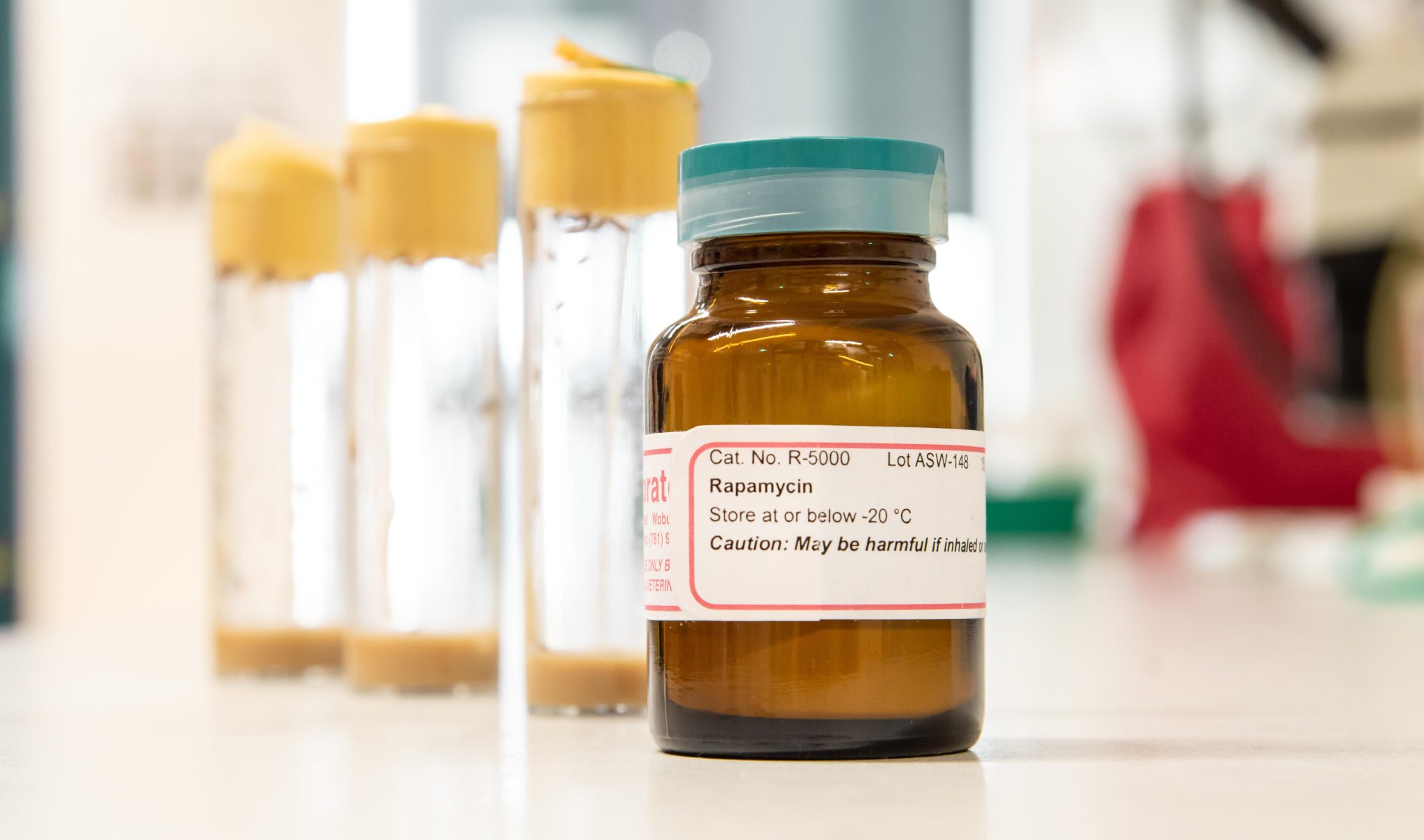 Unlocking the Secrets of Youth: How Rapamycin Could Redefine Aging