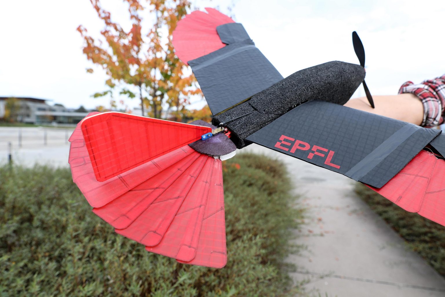 Raptor-Inspired Drone With Morphing Wing and Tail for Unprecedented ...