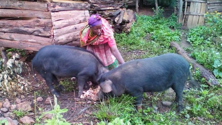 Africa’s Mountain Farmers Sound the Alarm: Climate Change Is Reshaping ...