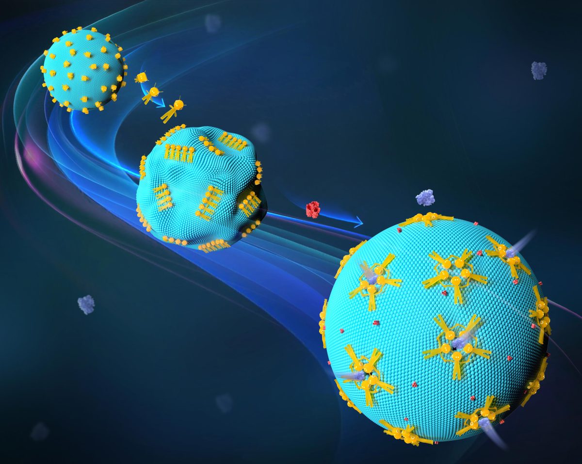 DNA Nanorobots Unlock New Frontiers in Targeted Drug Delivery