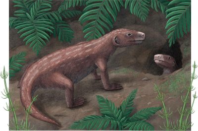 This 250-Million-Year-Old Fossil Is Rewriting the Origin of Mammalian ...