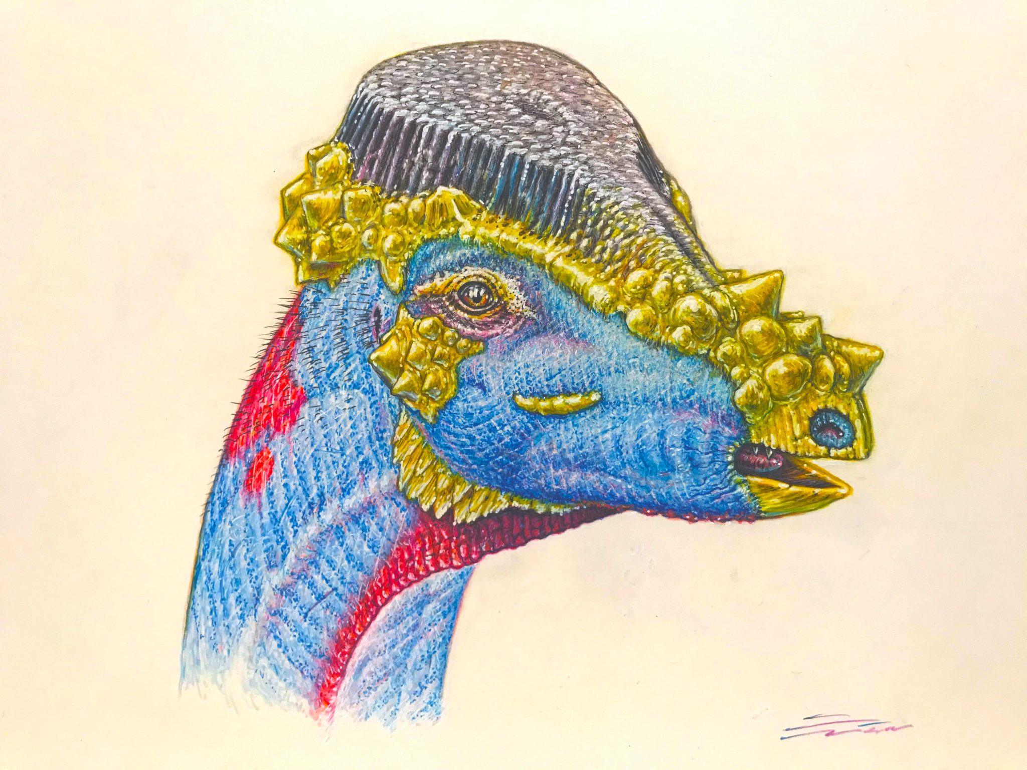 New Species of Dome-Headed Dinosaurs May Have Had Elaborate Headgear