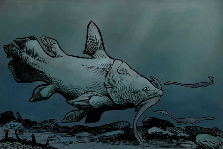 New Species of “Living Fossil” Fish Found Hiding in Plain Sight After ...