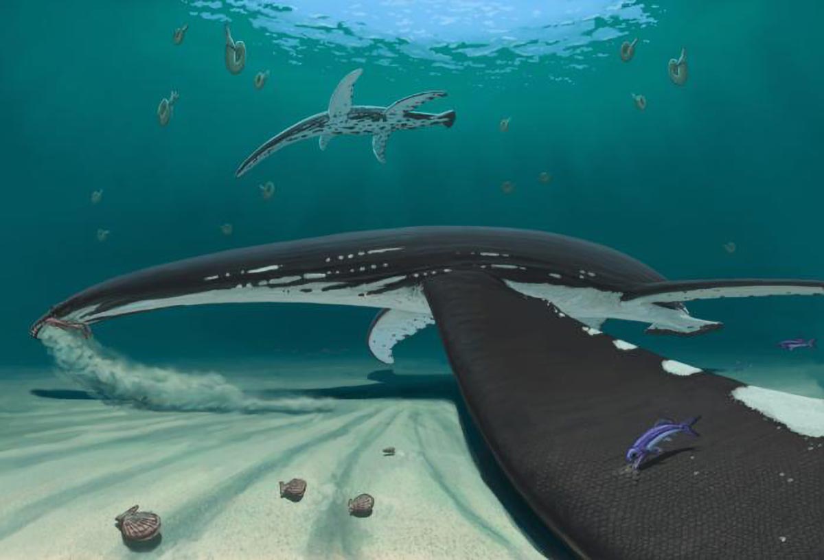 Shocking Scientists: Fossilized Plesiosaur Skin Cells Discovered After 183 Million Years