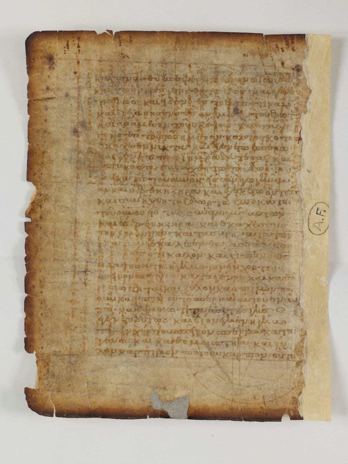 After Decades of Mystery, Researchers Locate a Missing Page of the ...
