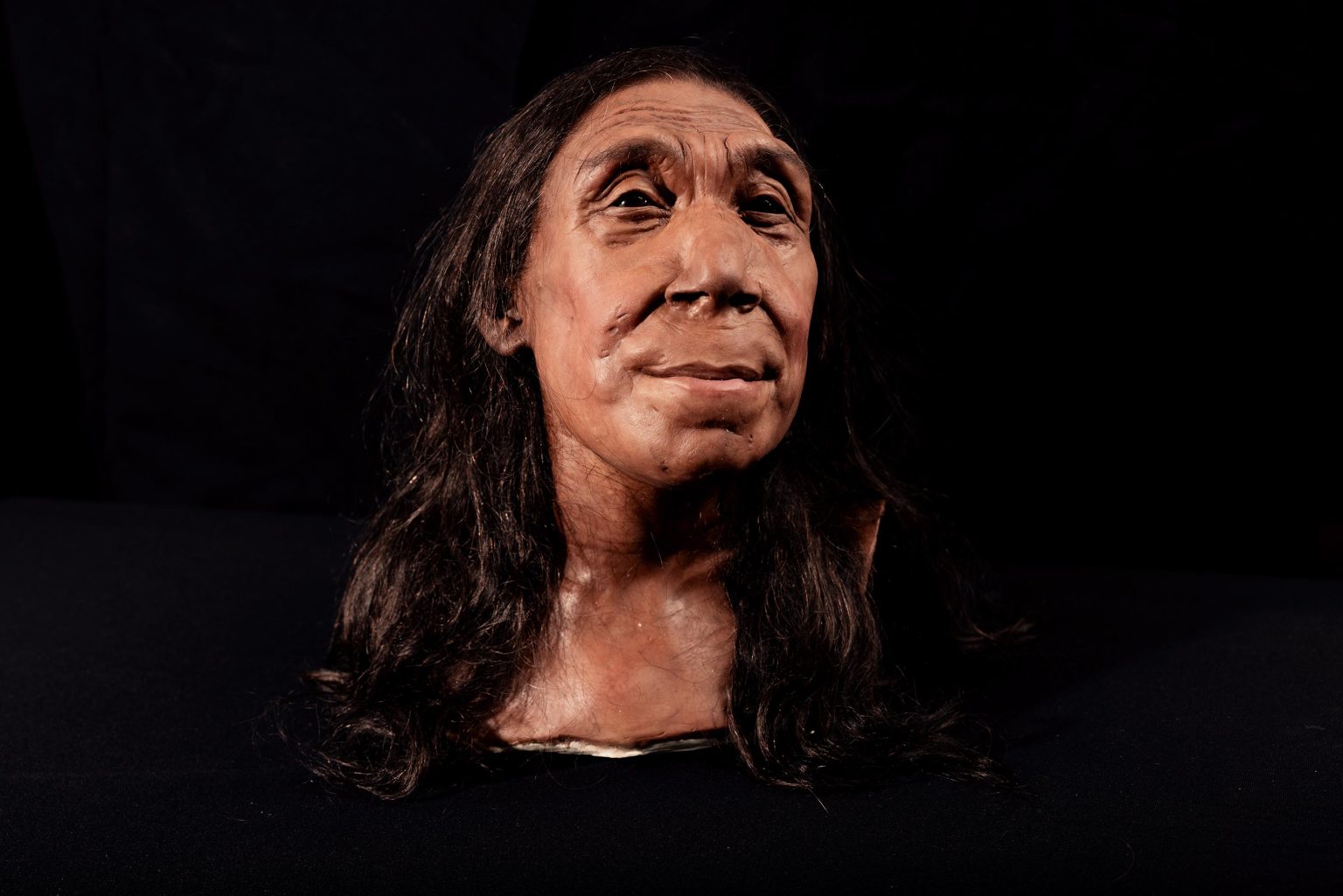 Reconstructed Realities: Bringing a Crushed 75,000-Year-Old Neanderthal ...