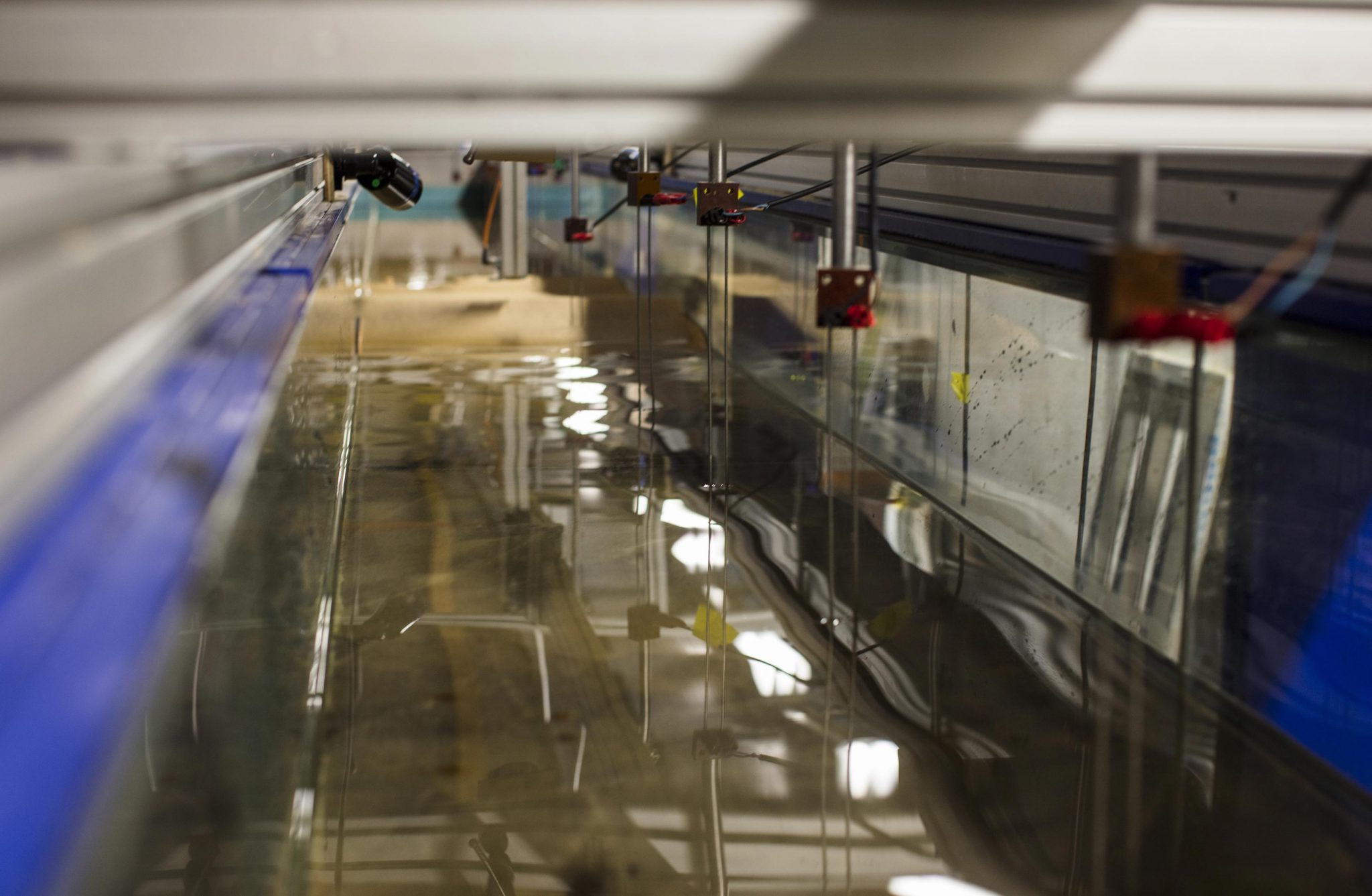 Islands Might Not Actually “Drown” As Sea Levels Rise – Here’s Why