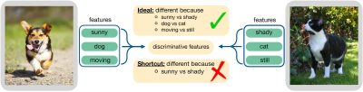 Avoiding Shortcut Solutions in Artificial Intelligence for More ...
