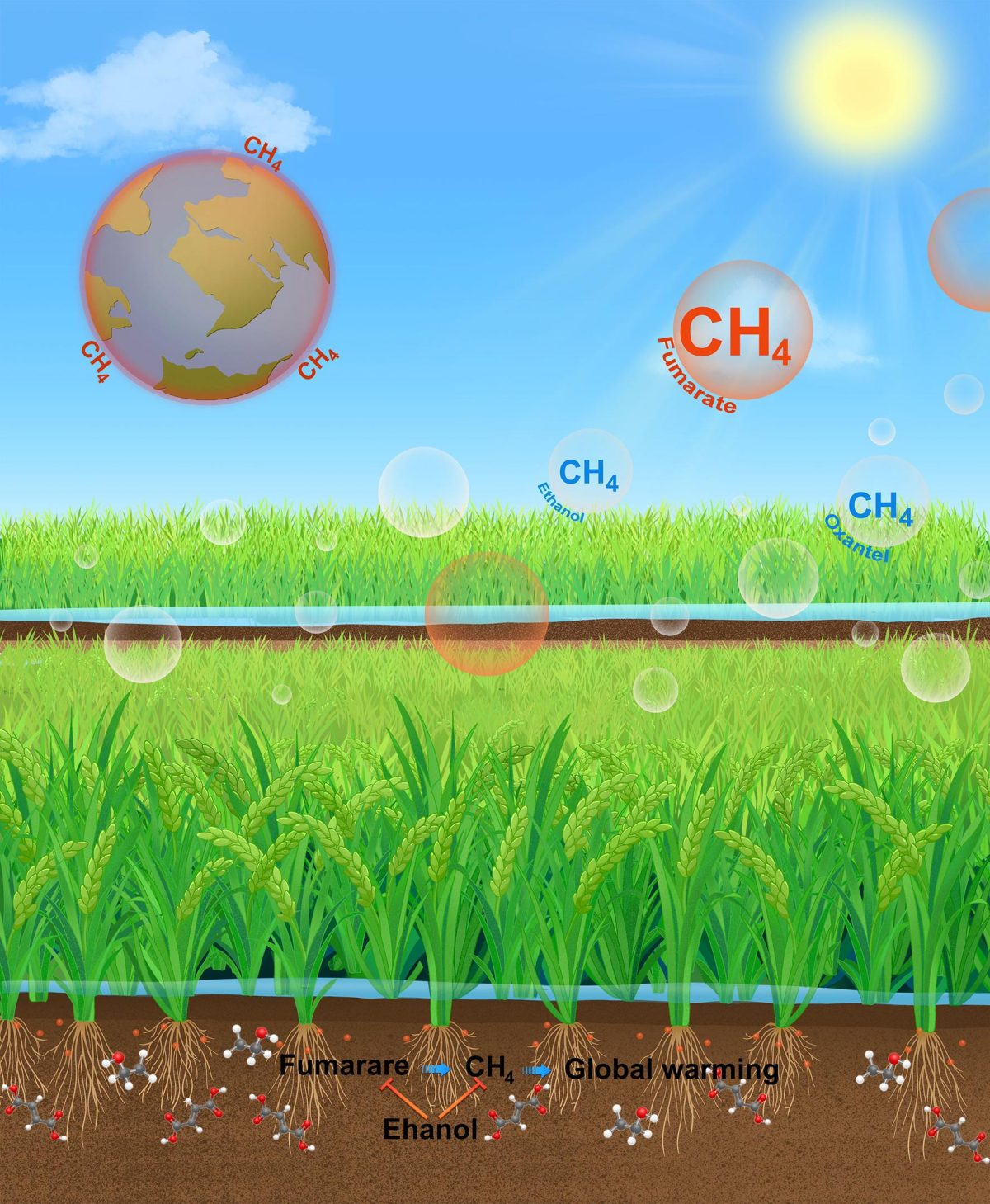 The Rice Revolution: Slashing 70% of Methane Emissions While Boosting ...