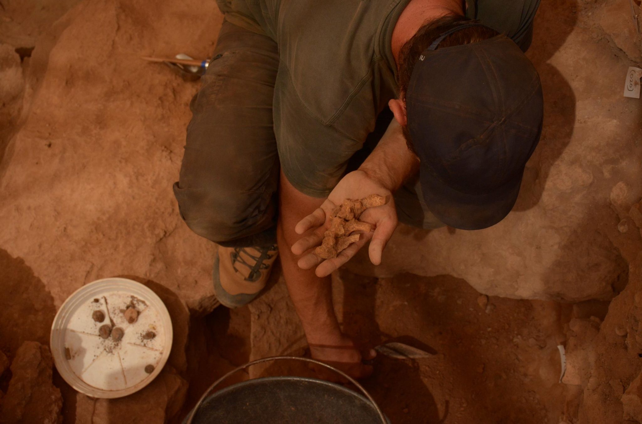 Rethinking Prehistory: 8,500-Year-Old Evidence Reveals Ancient Humans ...