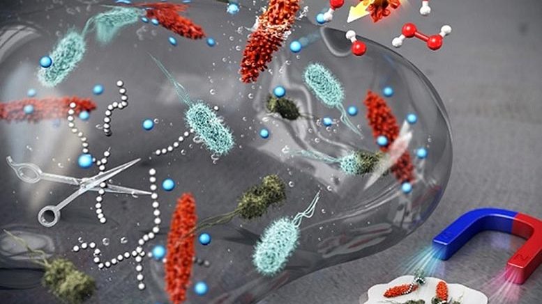 Researchers Use Bacteria From Space to Create New Biofilm