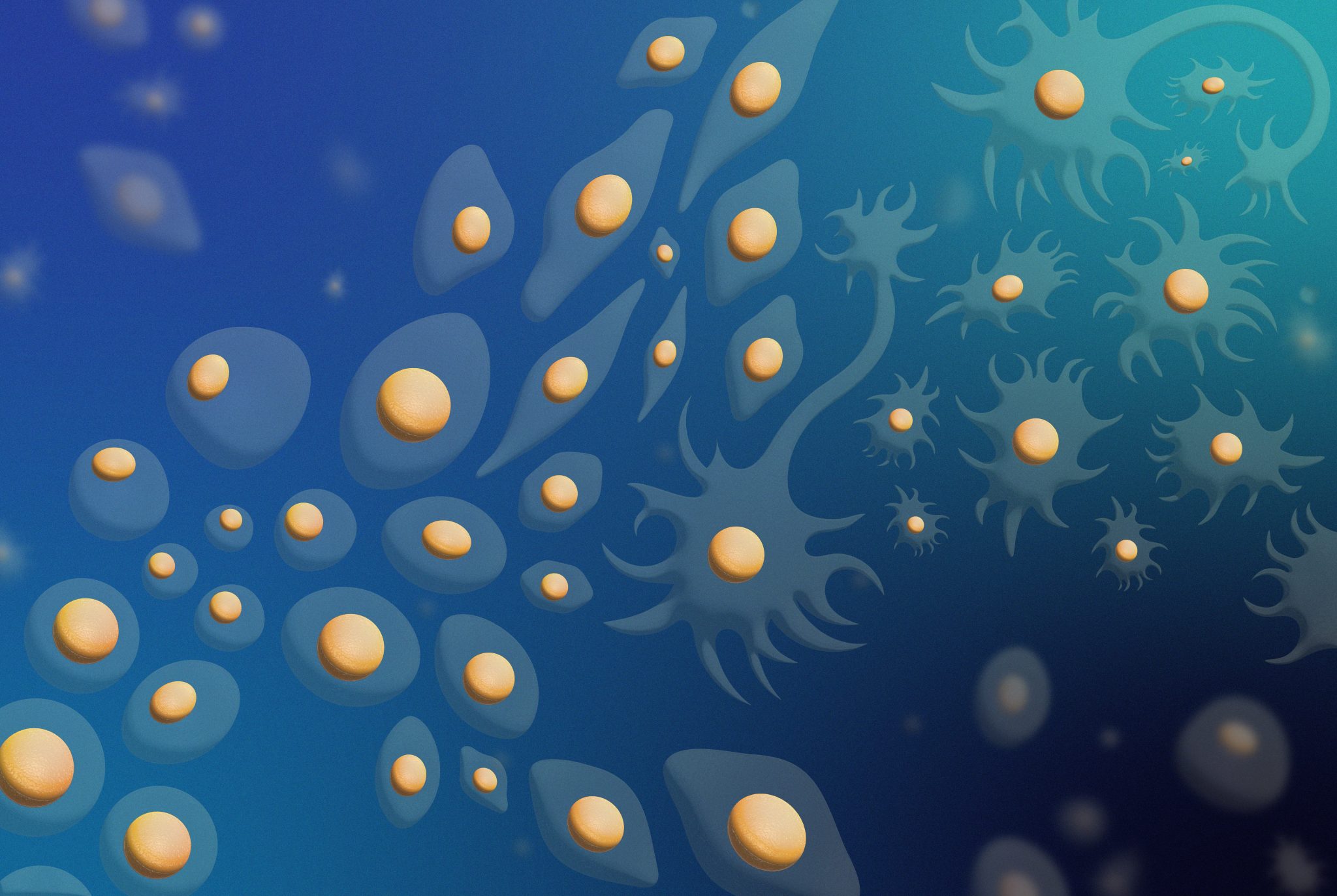 Breakthrough in Bioinformatics: AI Predicts Cell Type Transformations