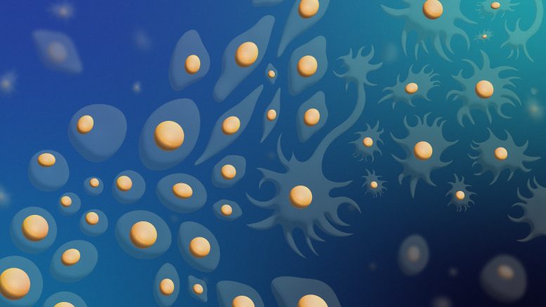 Bioinformatics News - SciTechDaily