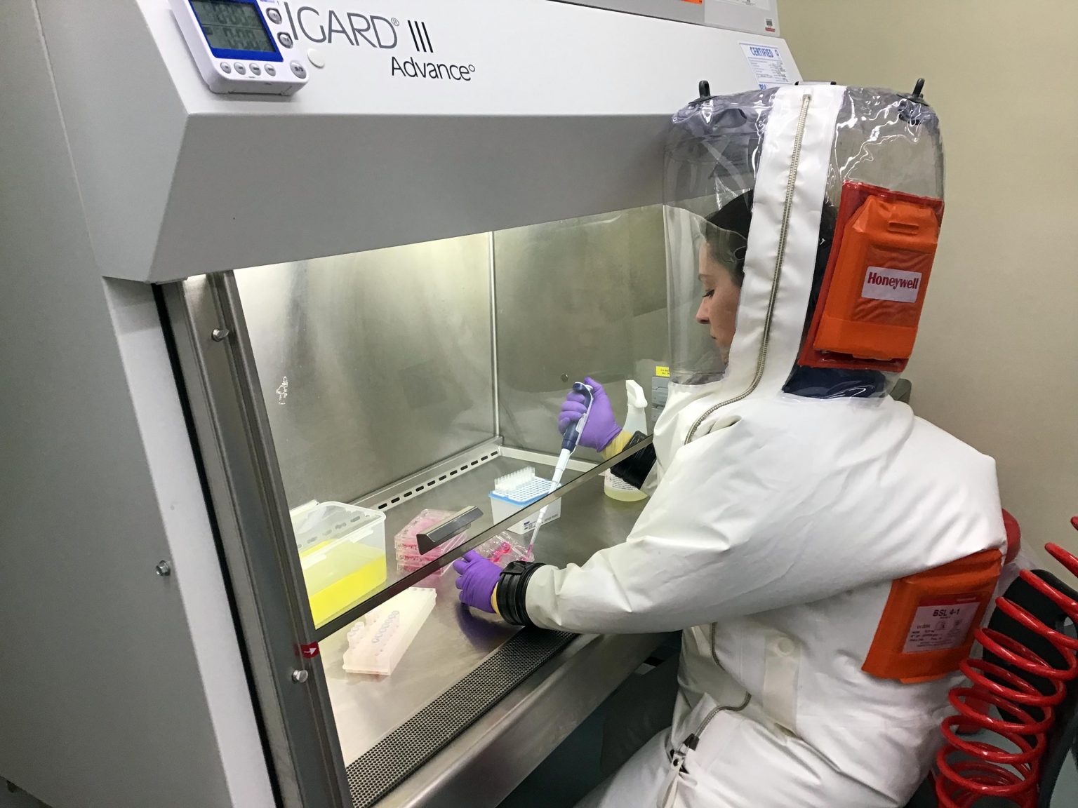 New Biomimetic Nanosponges Could Soak Up SARS-CoV-2, Treating COVID-19